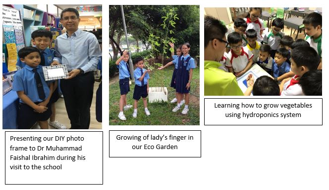 Environmental Science Club