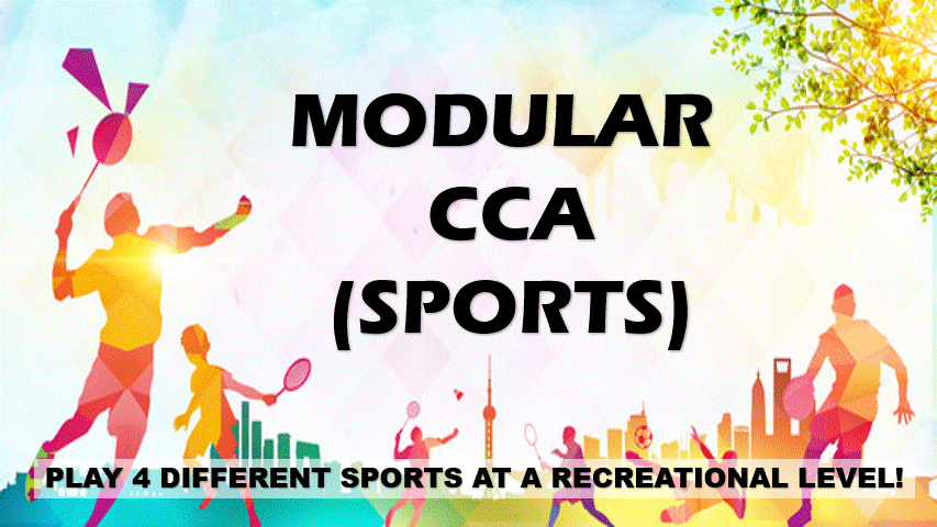 Modular CCA (Sports)